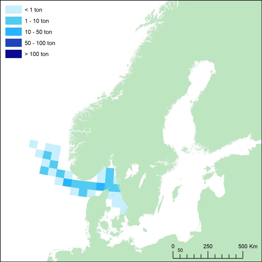 Kummel 2022 - Fiskeläget